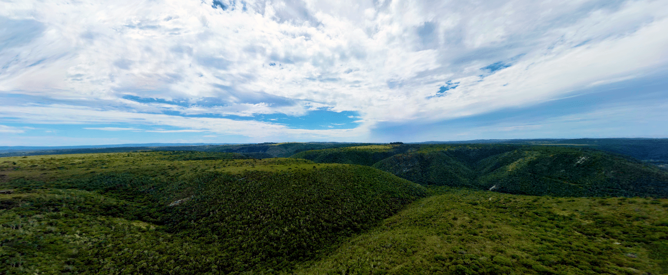 Cycad Nature Reserve - Kariega River - SA Towns