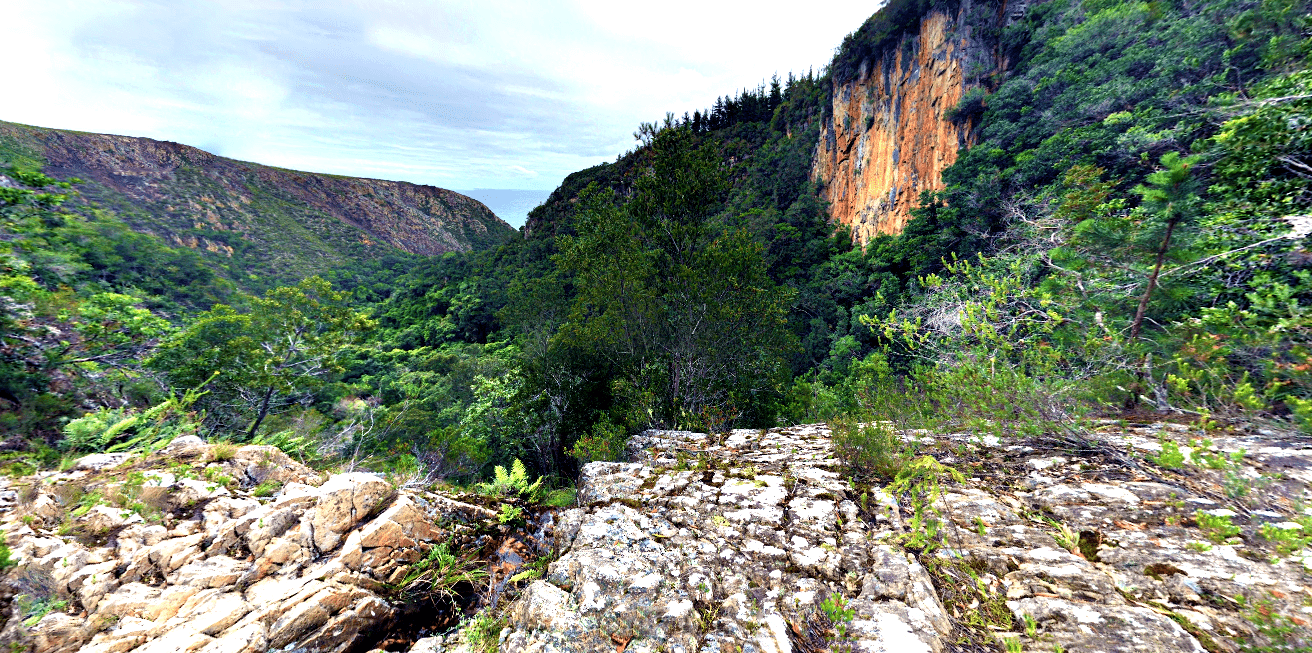 Garden of Eden - SA Towns
